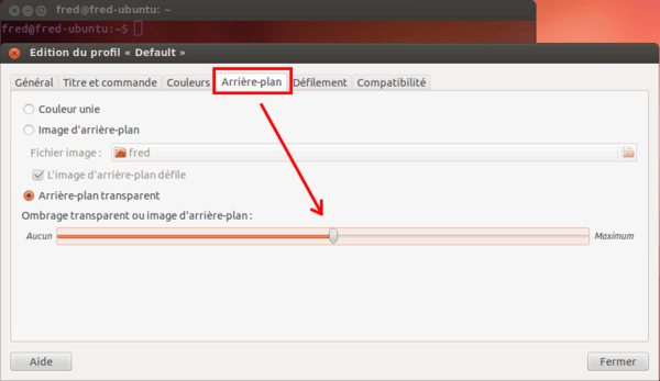 terminal_unity04.resized – memo-linux.com